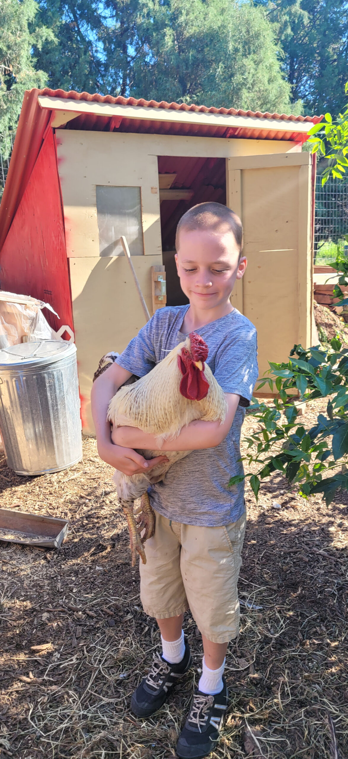 Farm Camp - Flying Pig Farm