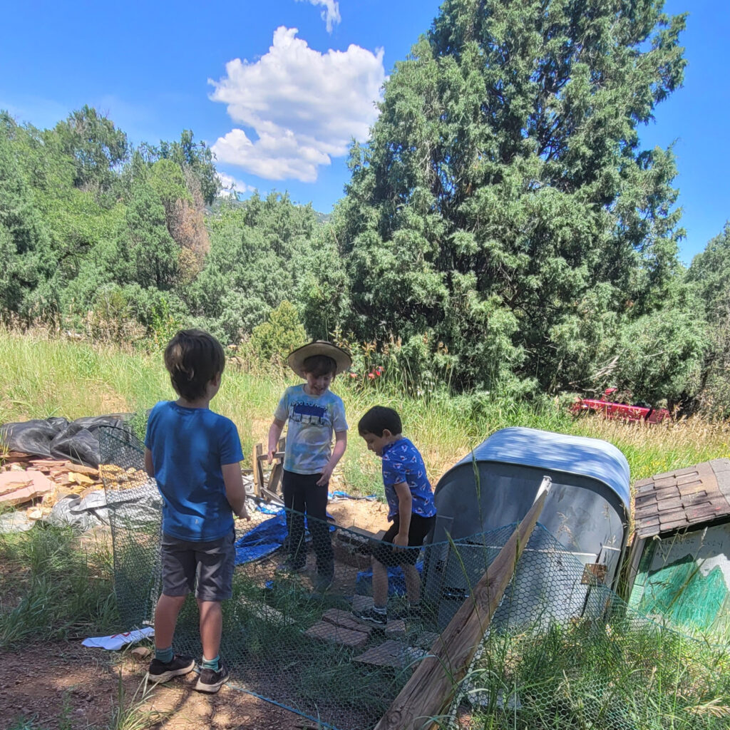 Farm Camp - Flying Pig Farm