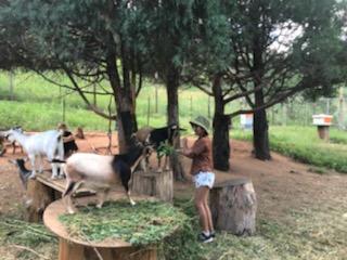 Farm Camp - Flying Pig Farm