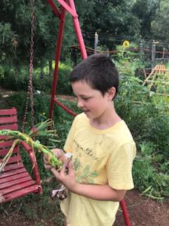 Farm Camp - Flying Pig Farm