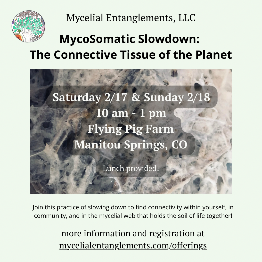 Flying Pig Farm - Flying Pig Farm