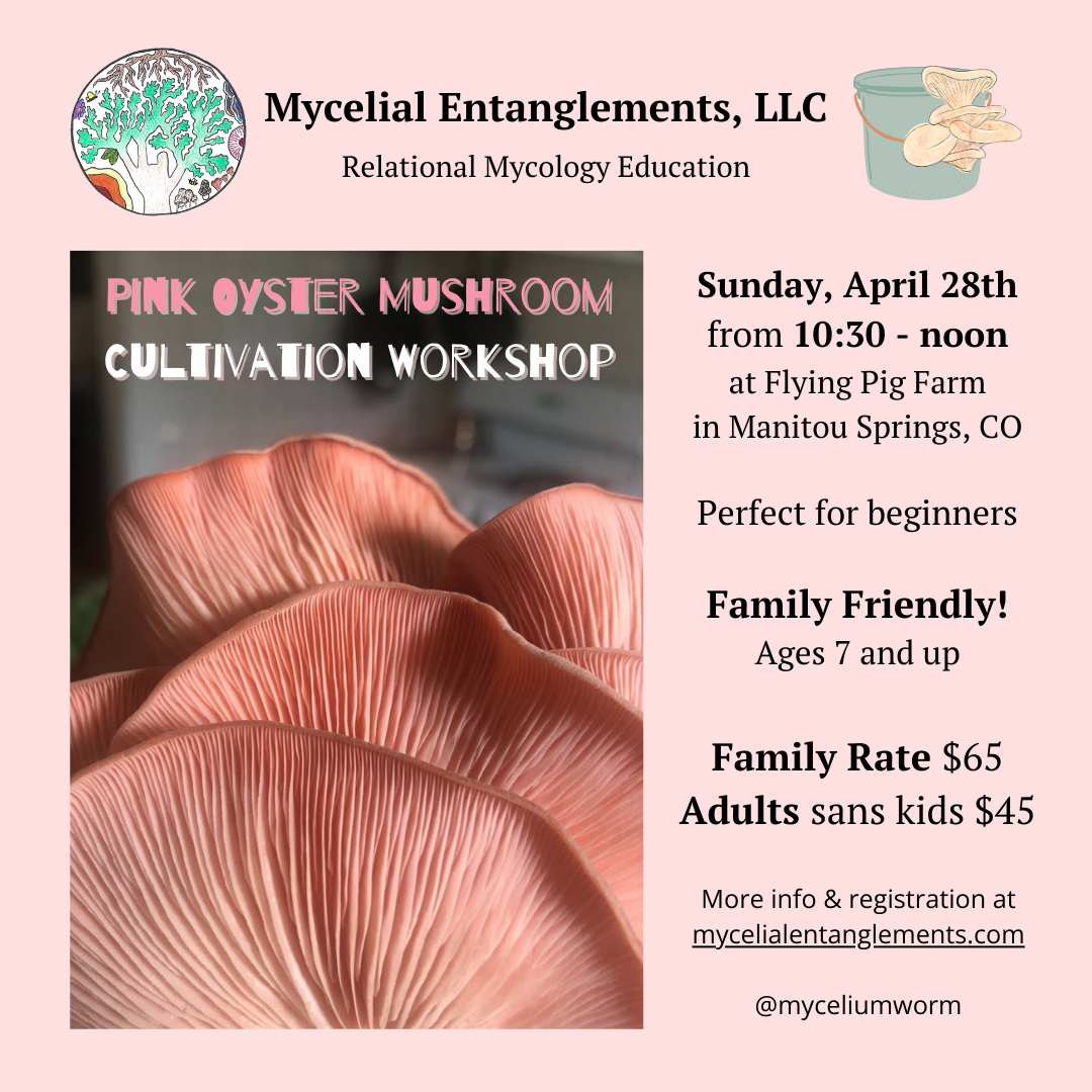 Flying Pig Farm - Flying Pig Farm